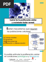 Células Lábiles | PDF | Relaciones personales, crianza y desarrollo ...