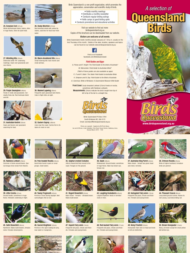 QLD Birds Select Brochure | PDF | Columbidae | Birds