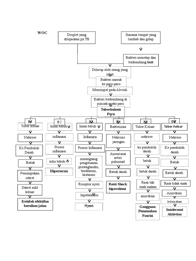Woc TBC Paru | PDF