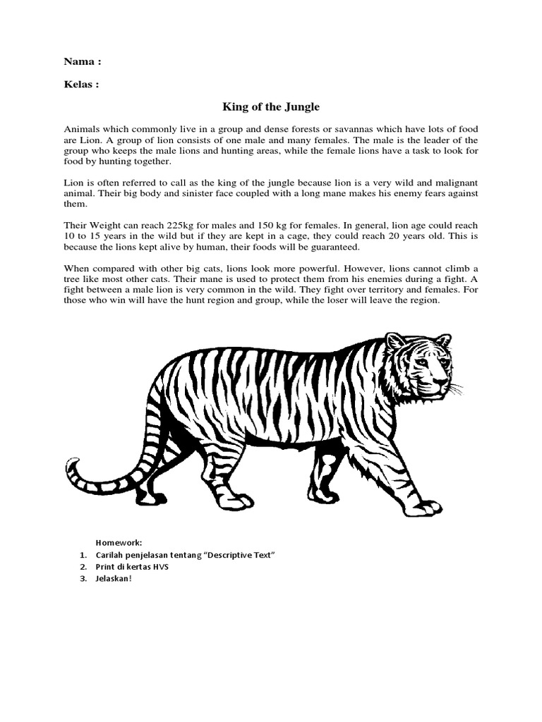 Descriptive Text TIGER | PDF