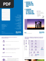 Instructivo Metlife - Metlife Orienta | PDF
