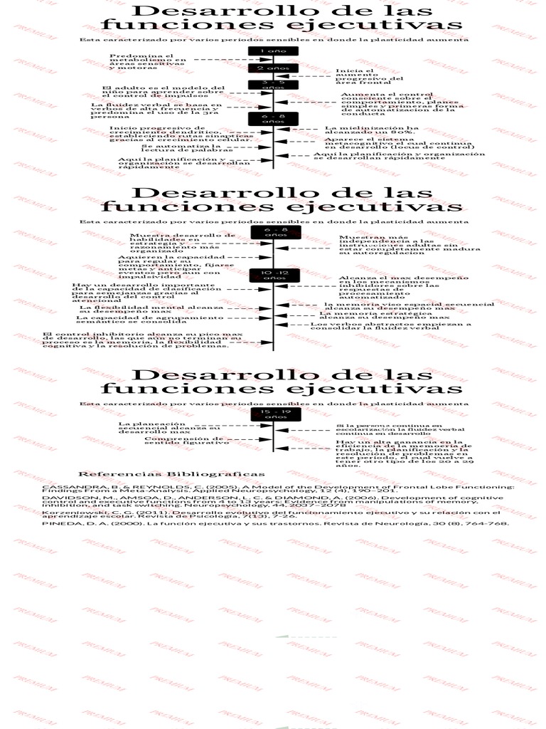 Linea de Tiempo Funciones Ejecutivas | PDF | Funciones ejecutivas | Memoria