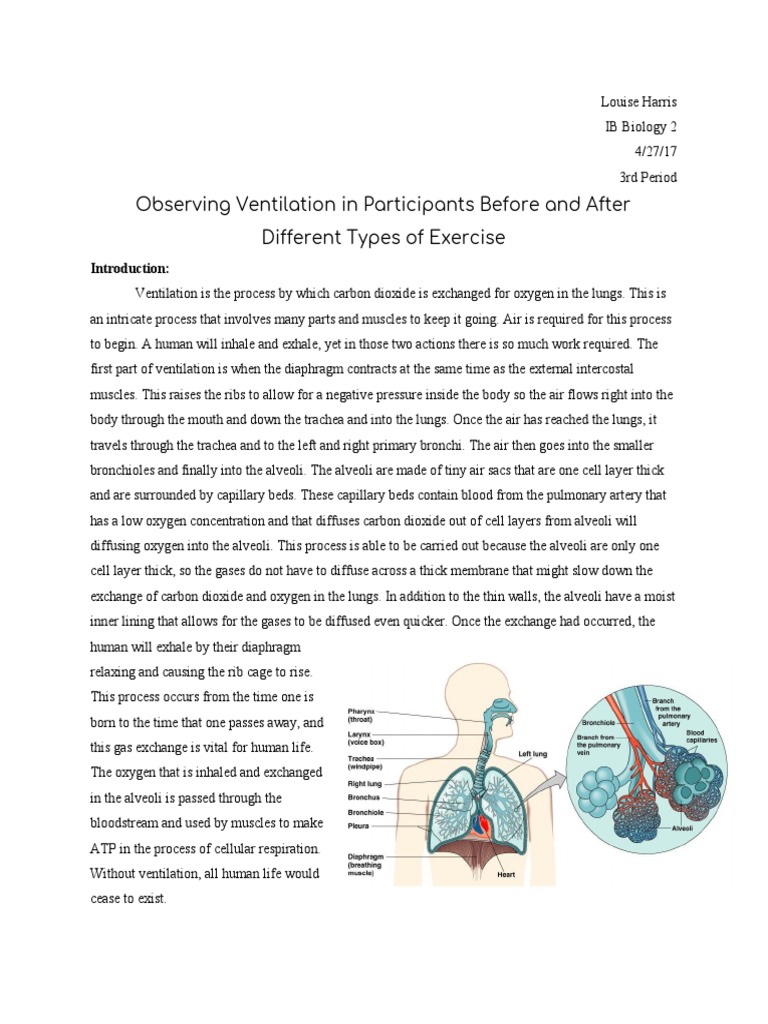 The Effects of Different Types of Exercise on Respiratory Rate and ...