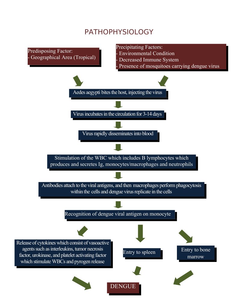 Dengue Fever Pathophysiology Overview | PDF | Self-Improvement ...