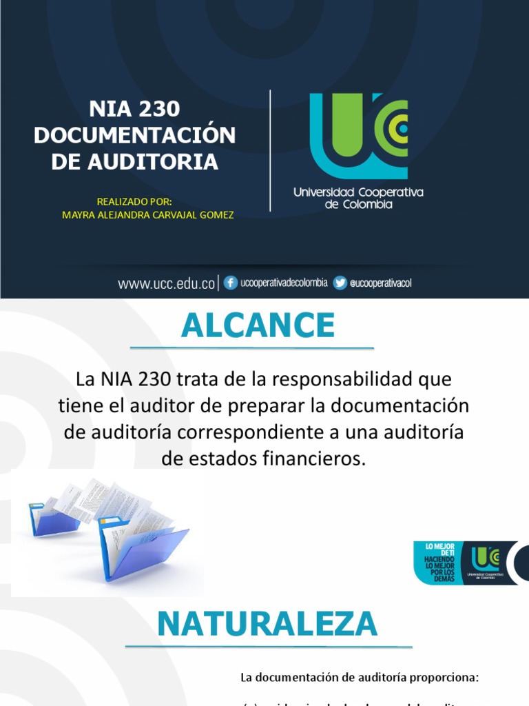 NIA 230: Documentación de Auditoría | PDF | Auditoría | Contralor