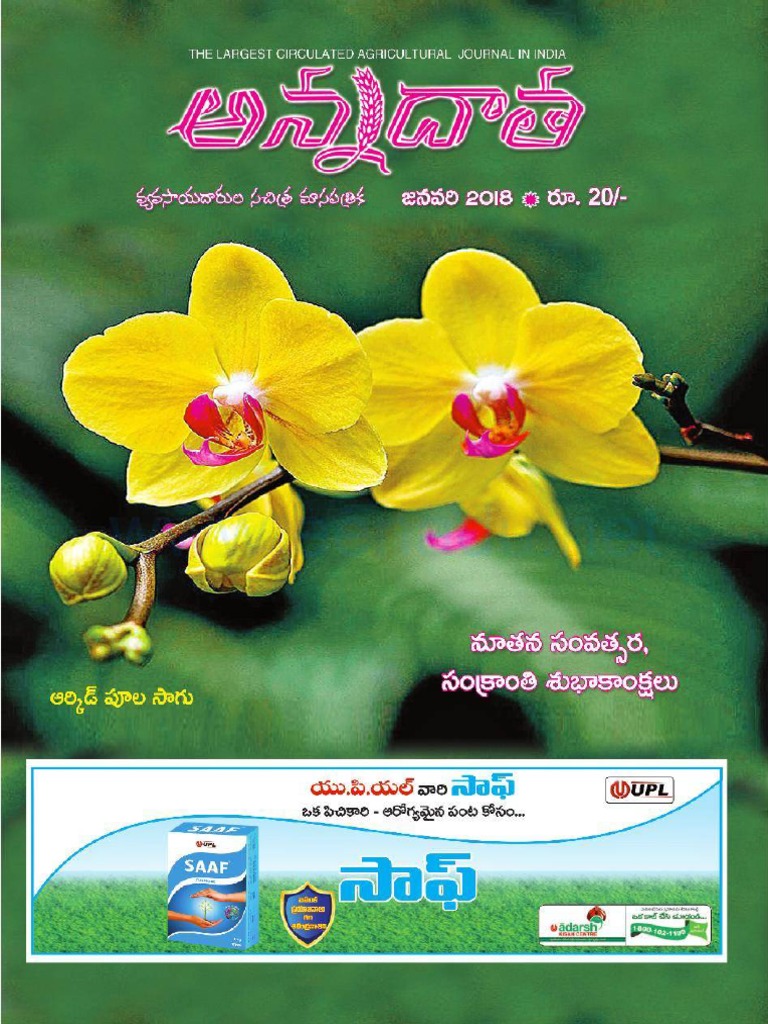 Annadata 201801 | PDF