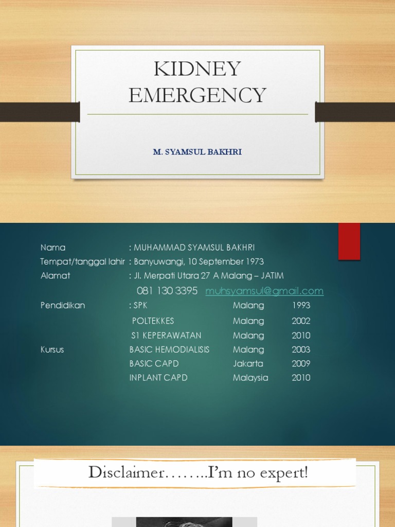 Kidney Emergency: M. Syamsul Bakhri | PDF | Kidney | Renal Function