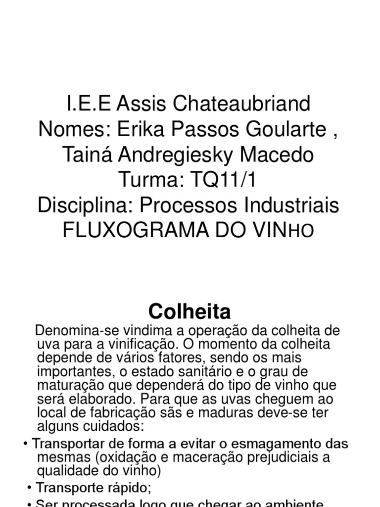 Processo de produção do vinho: detalhando as etapas desde a colheita ...