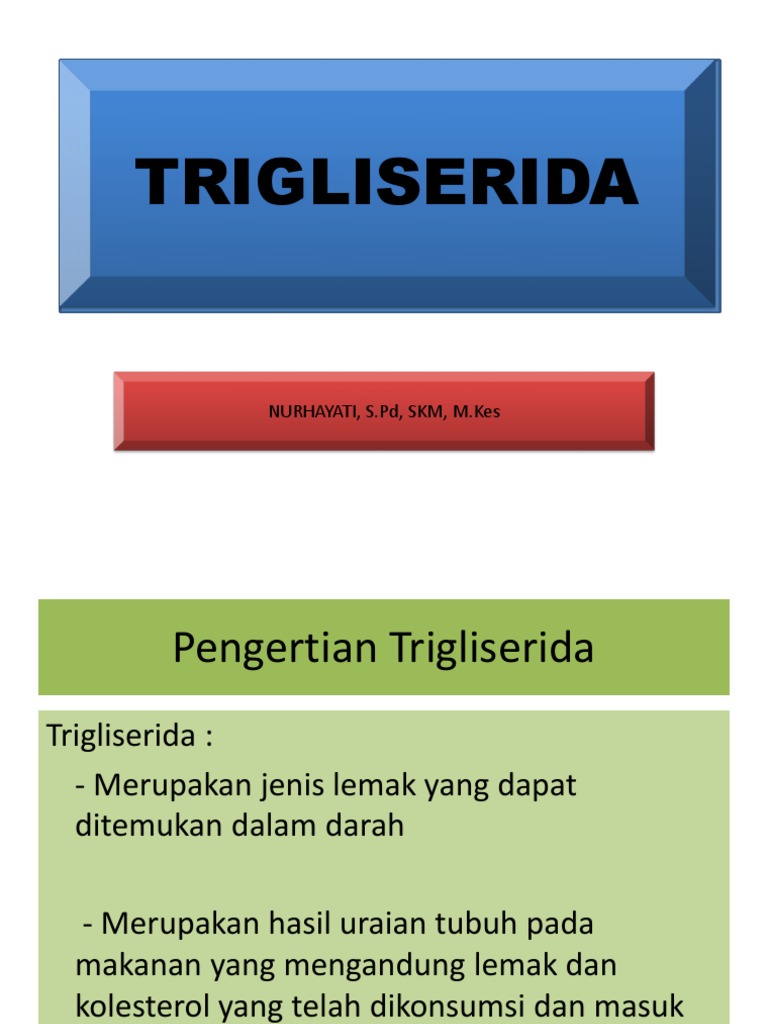 Pengertian dan Dampak Trigliserida | PDF