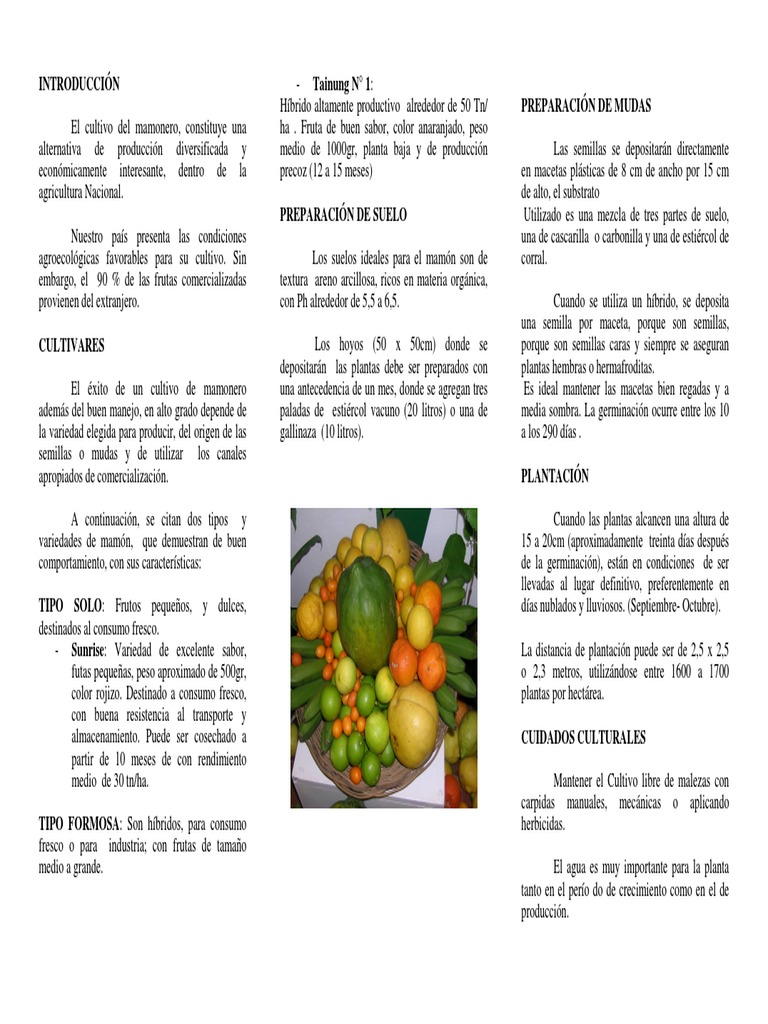 Triptico Mamón | PDF | Agricultura | Horticultura y jardinería