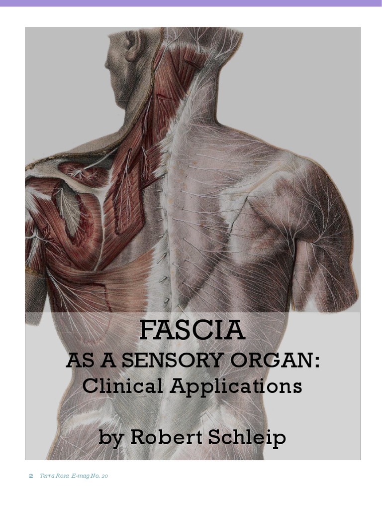 The Fascia As A Sensory Organ | PDF | Somatosensory System | Muscle
