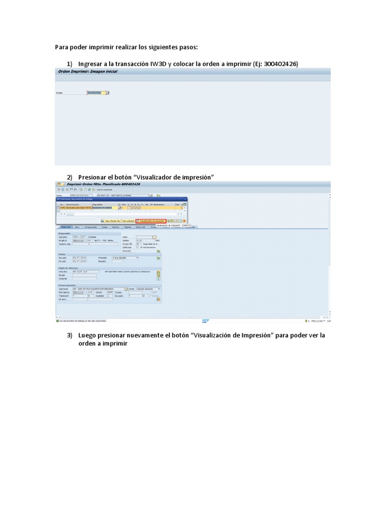 Imprimir Orden en SAP con IW3D | PDF