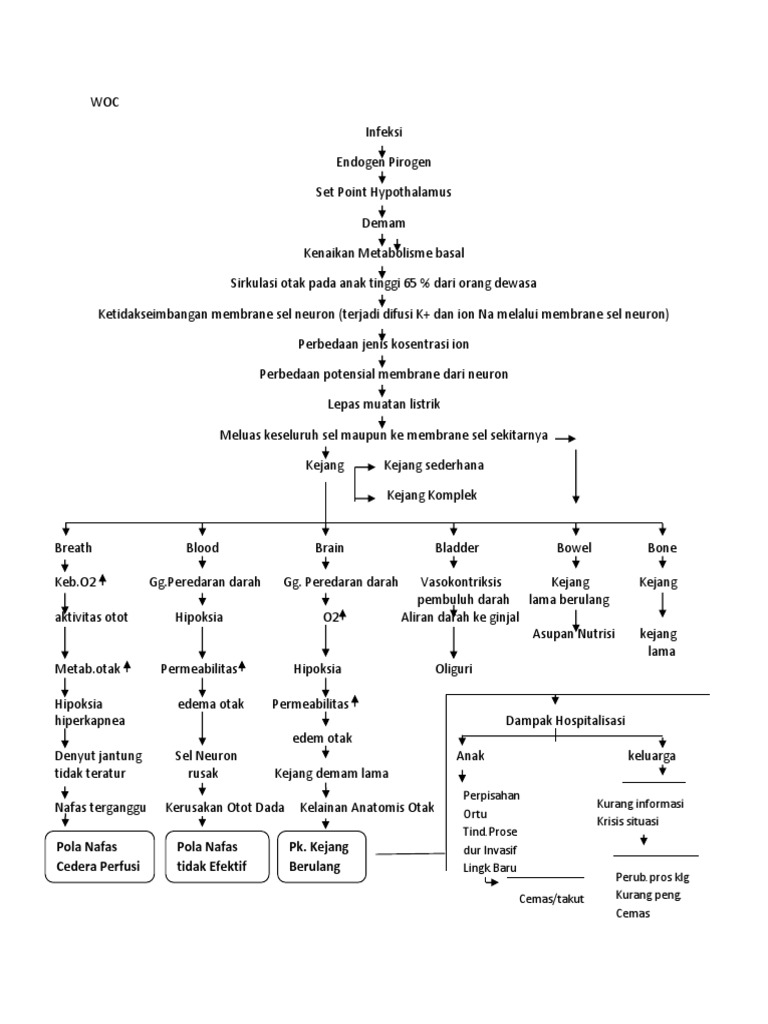 Kejang Demam WOC | PDF