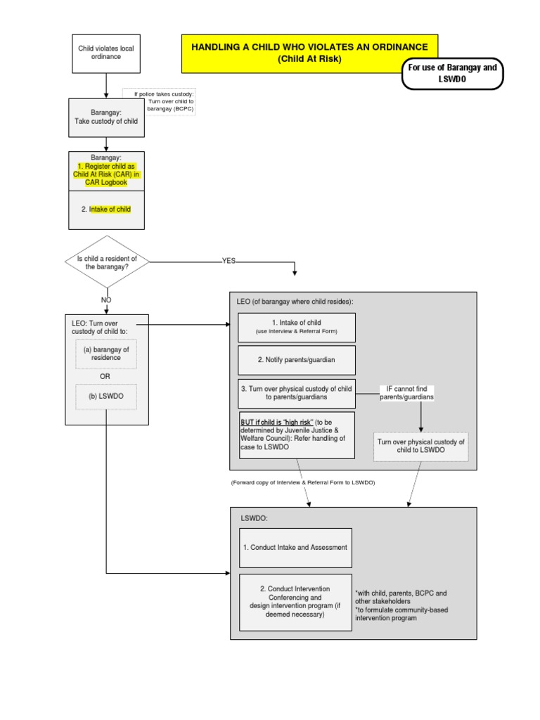 Handling A Child Who Violates An Ordinance (Child at Risk) For Use of ...