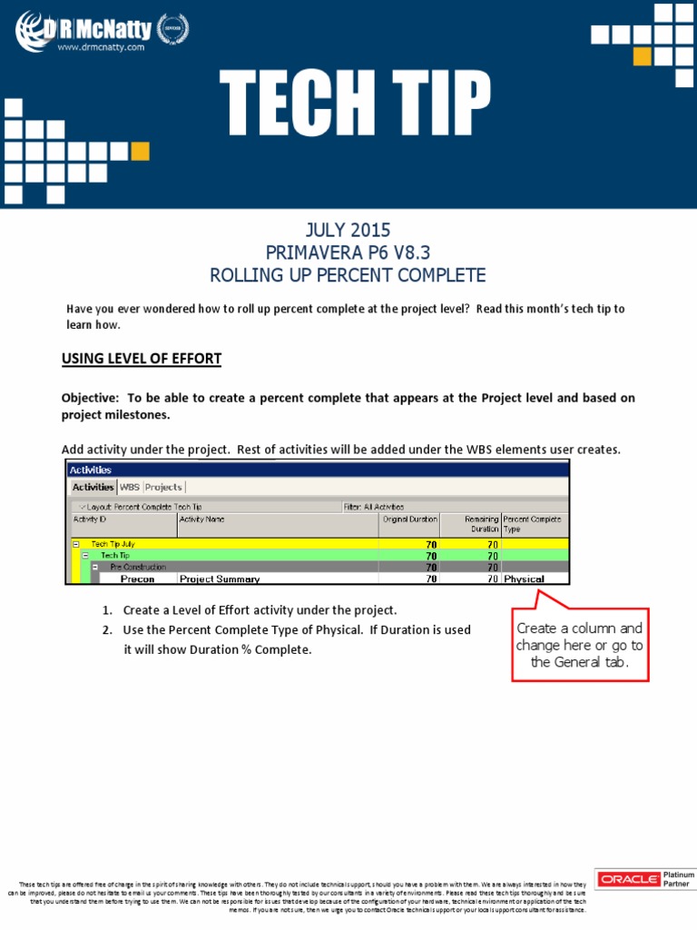 Percent Complete WBS Roll-Up Summary | PDF | Computing | Software