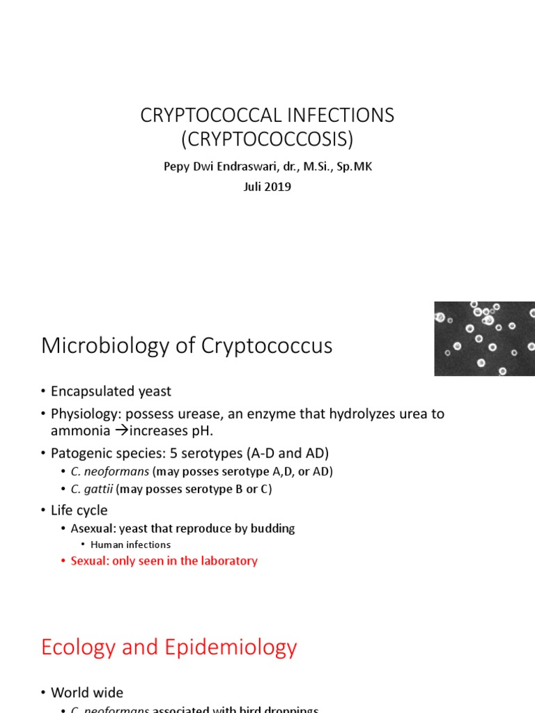 Unpatti - Infeksi Opportunistik Jamur - CRYPTOCOCCAL INFECTIONS | PDF ...
