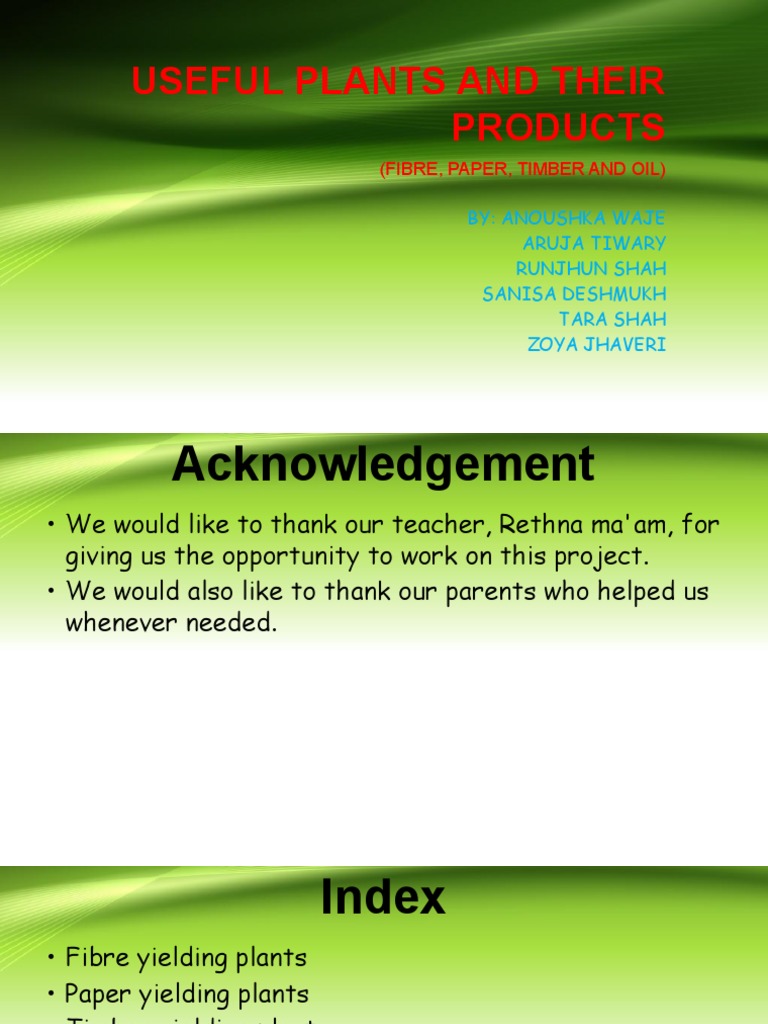 Useful Plants and Their Products | PDF | Fibers | Wood