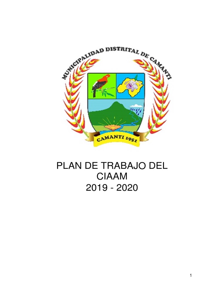 Plan de Trabajo de CIAM | PDF | Adultos | Vejez