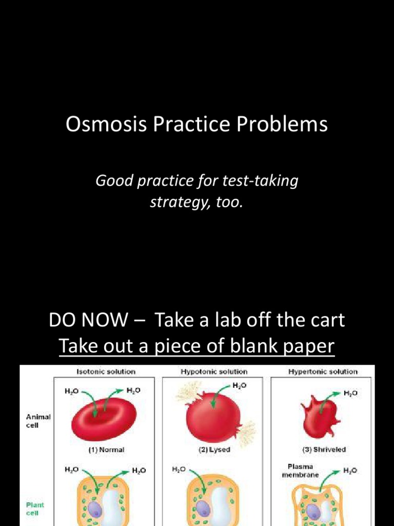 Osmosis Tonicity Practice Questions | PDF | Osmosis | Cell Biology
