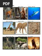 Animales Dosmesticos en Xinca | PDF | Cocina, comidas y vino