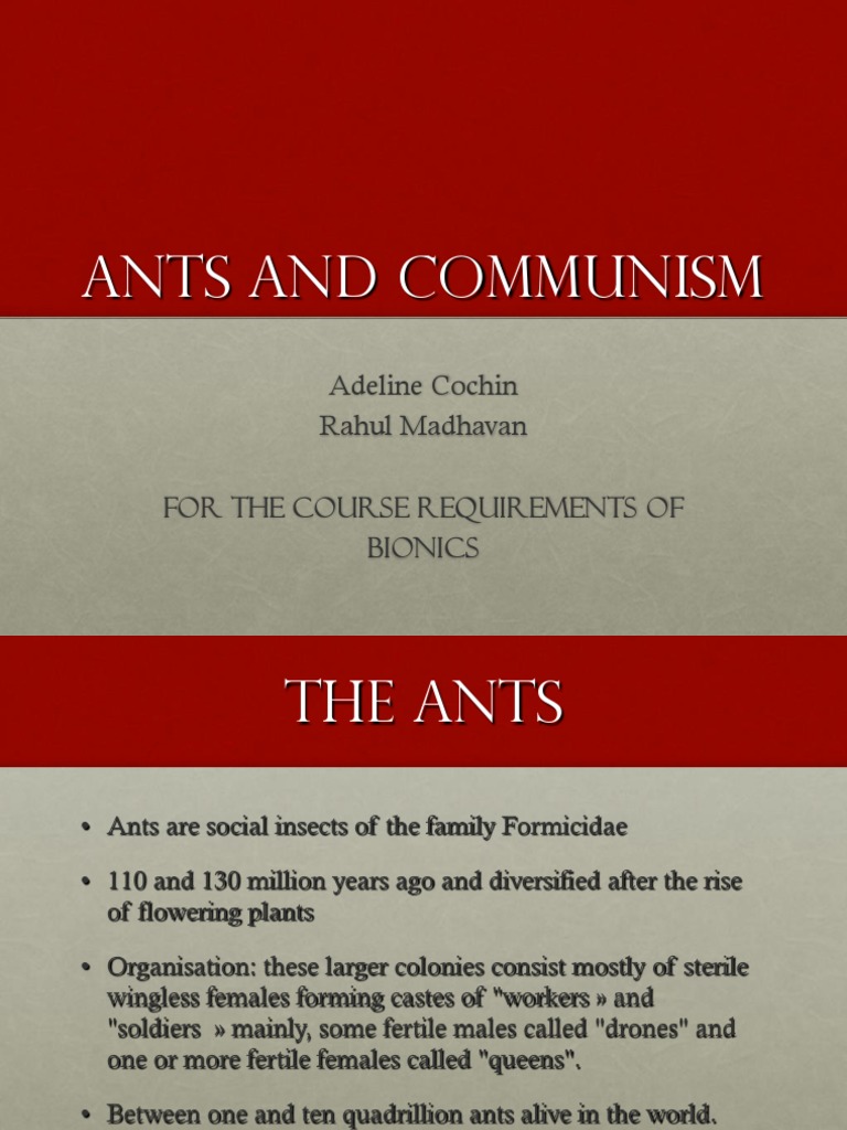 Ants and communism: How ant colonies demonstrate principles of division ...