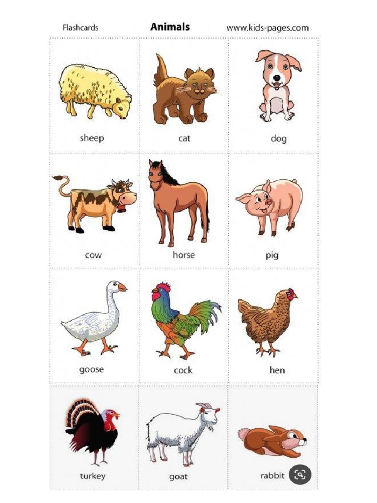 Animales Domesticos, Salvajes, Acuaticos Con Su Nombre en Ingles ... Animales Domesticos, Salvajes, Acuaticos Con Su Nombre en Ingles ...