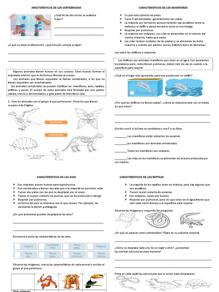 Guía de Vertebrados para Estudiantes | PDF | Anfibio | Mamíferos