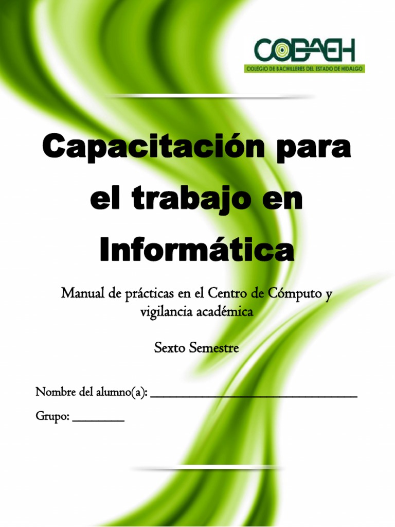 Manual de Practicas Informatica 6 Semestre | PDF | Multimedia | Animación