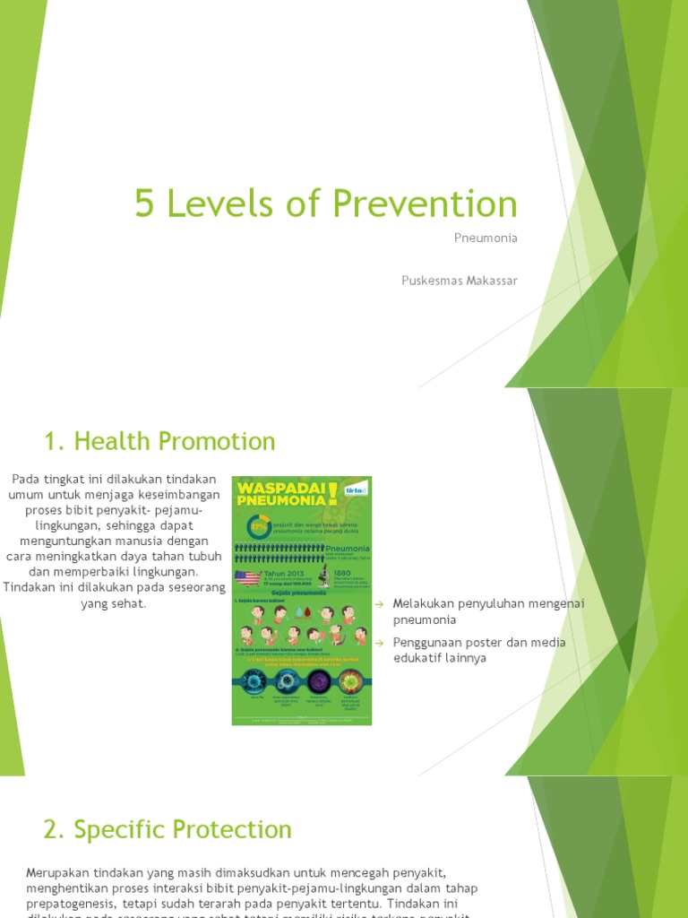 5 Level of Prevention | PDF
