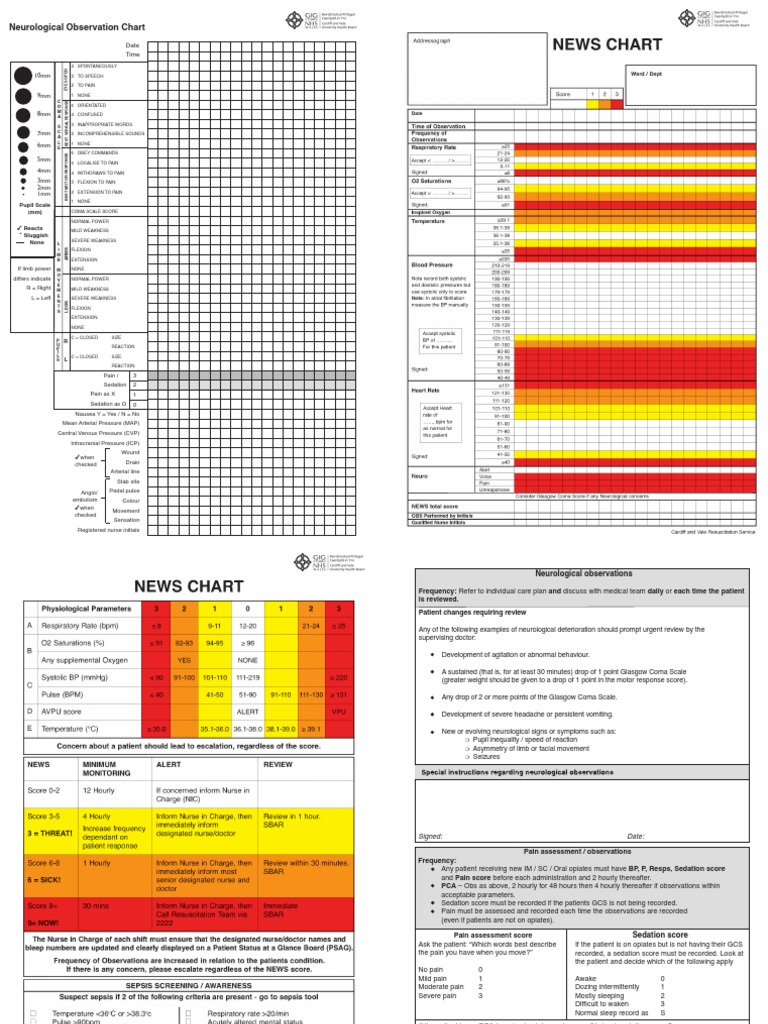 Neurological Observation Chart A3 Spreads - Layout 1 | PDF | Pain | Coma