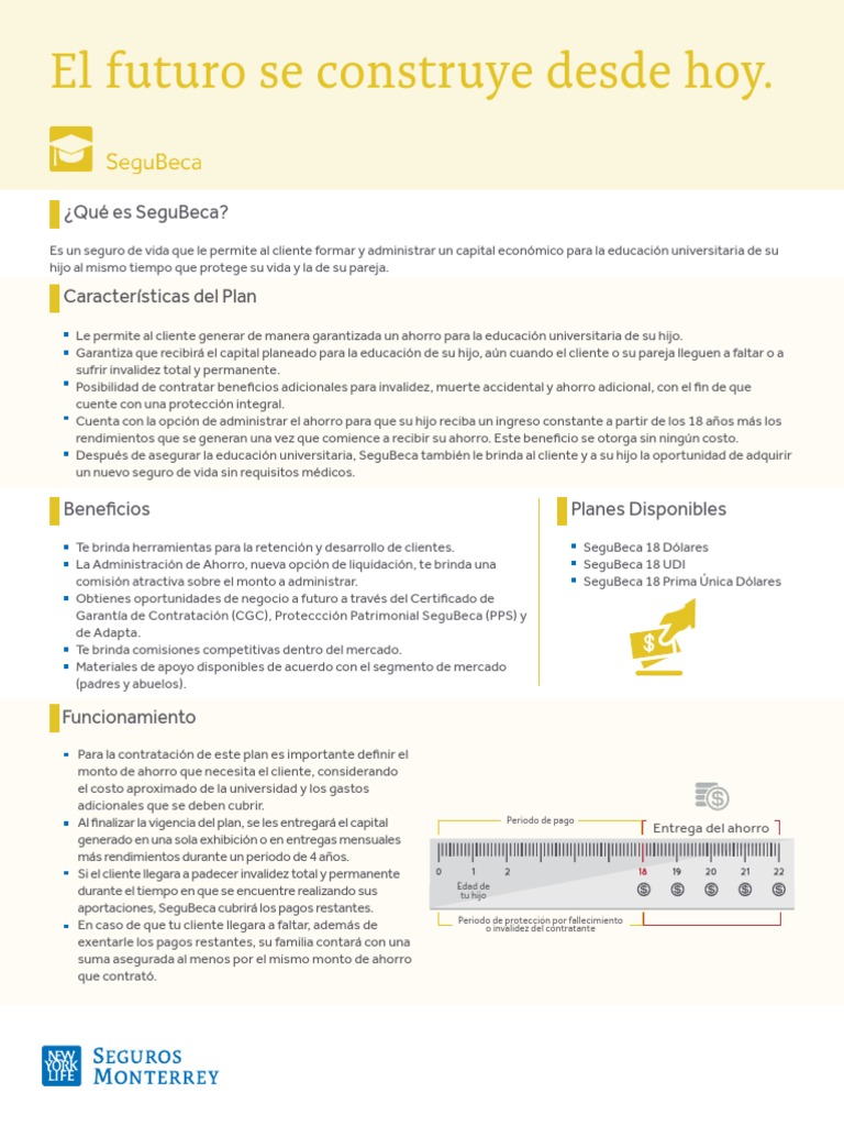 1 Factsheet-SeguBeca 2017 | PDF | Ahorro | Seguro
