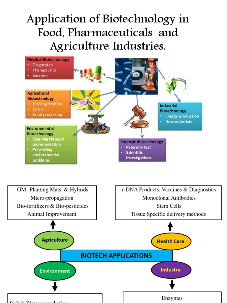 Application Of Biotechnology In Food Industry
