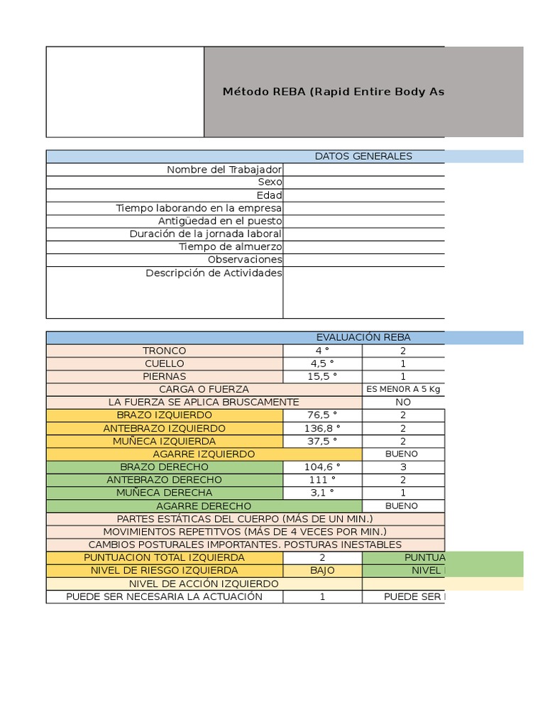 Método Reba | PDF | Factores humanos y ergonomía | Bienestar
