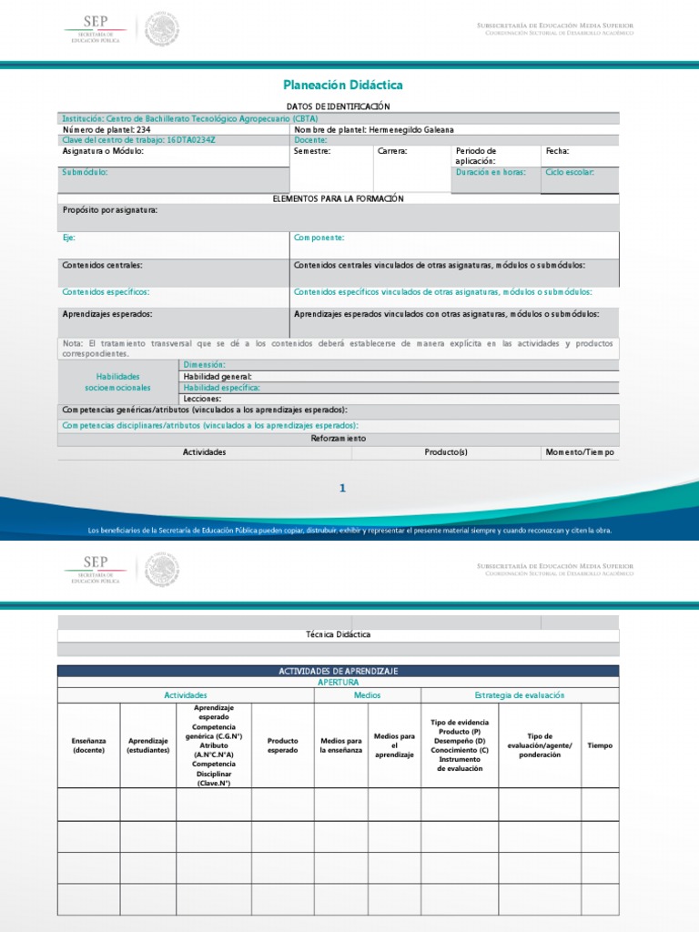 Formato Eca | PDF | Evaluación | Enseñando
