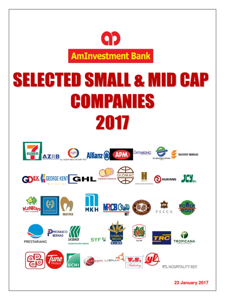 Small & Mid Cap Companies 20170123 Am | PDF | Inflation | Monetary Policy