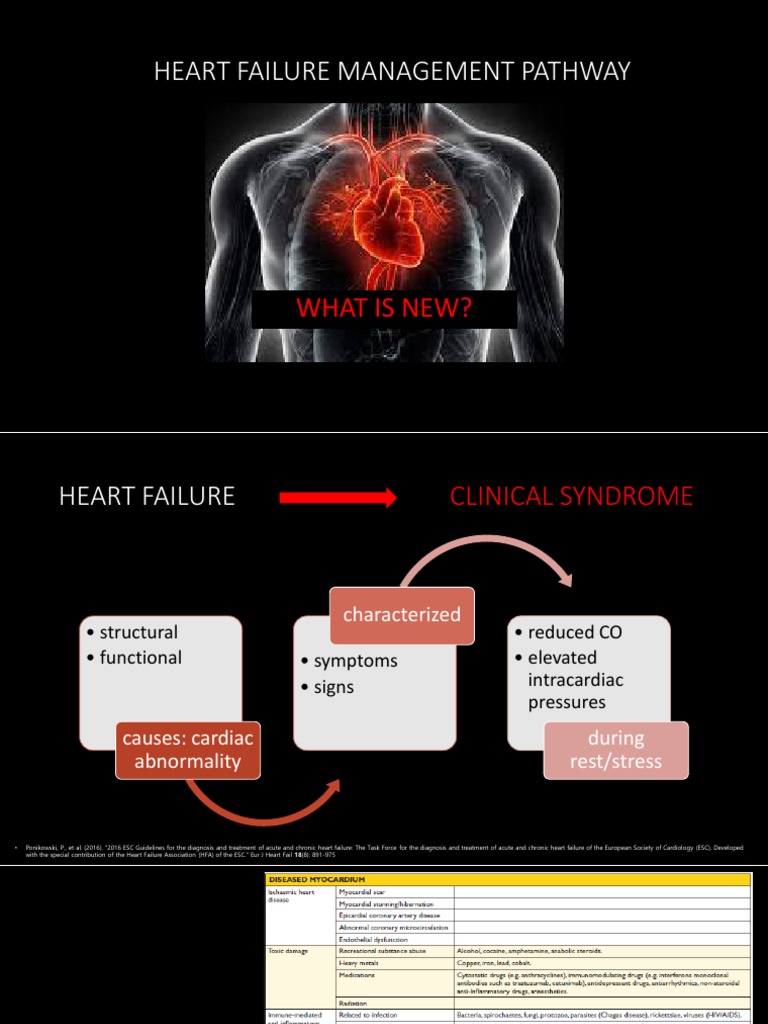Heart Failure Management Pathway: What Is New? | PDF | Heart Failure ...