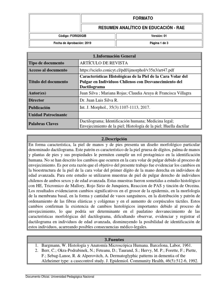 Formato Rae Ejemplo | PDF | Piel | Epidermis