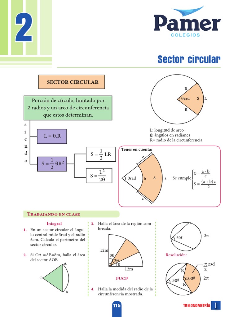 T 5ºaño S2 Sector Circular | Descargar gratis PDF | Trigonometría ...