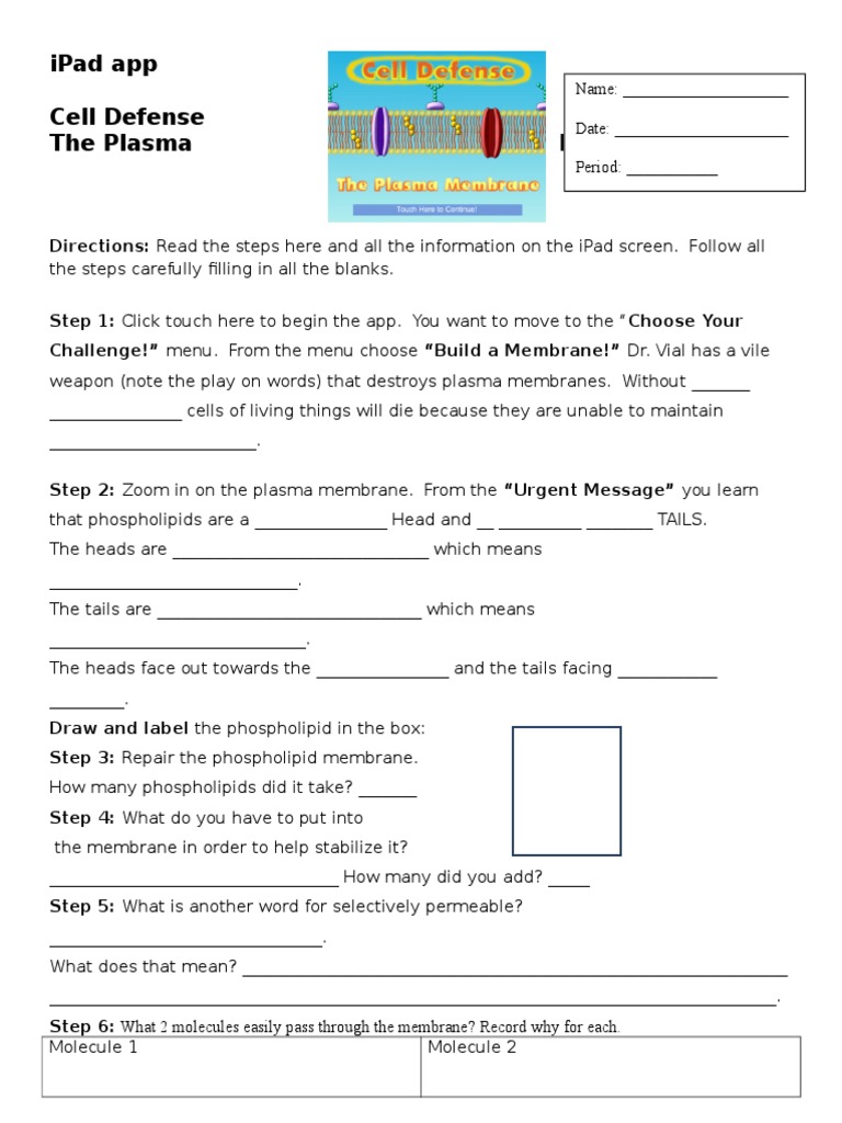 Cell Defense Worksheet | PDF | Cell Membrane | Osmosis
