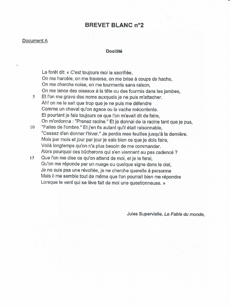 DNB Blanc Avril 2019 Francais Questions PDF | PDF