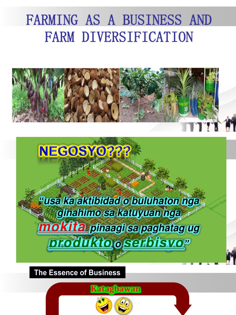 Farming As A Business and Farm Diversification | PDF | Diversification (Finance) | Agriculture