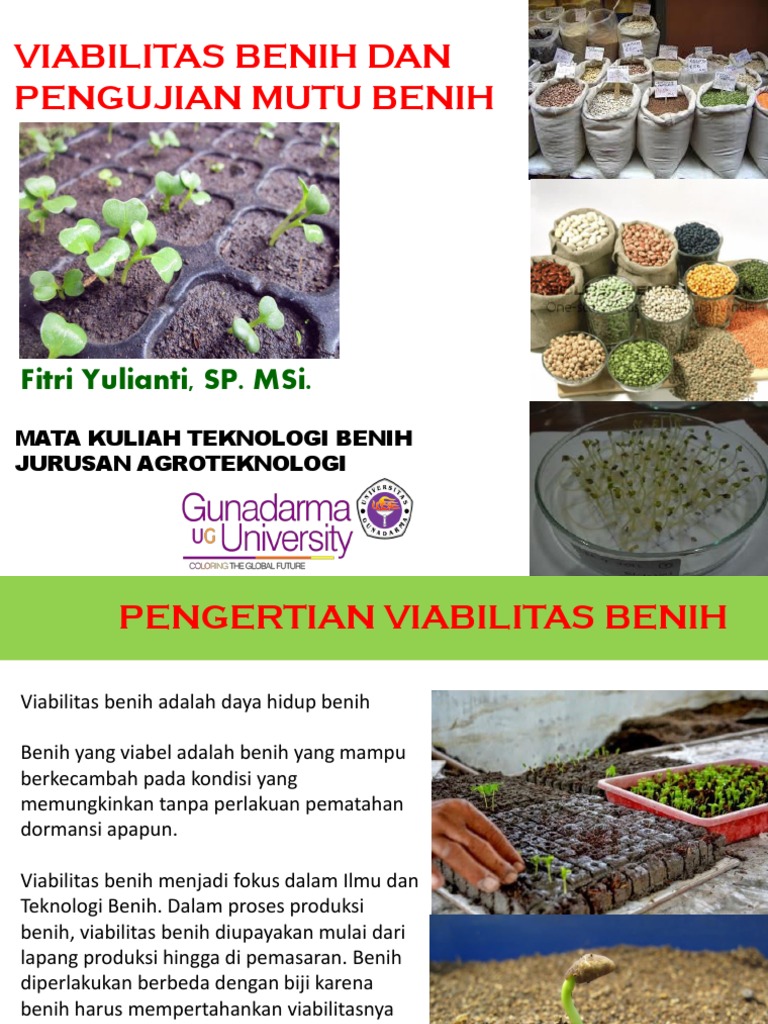 Viabilitas Benih Dan Pengujian Mutu Benih | PDF | Kesehatan Holistik ...