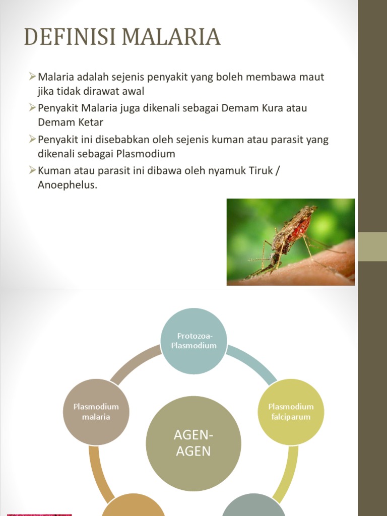 Definisi dan Ciri Penyakit Malaria | PDF