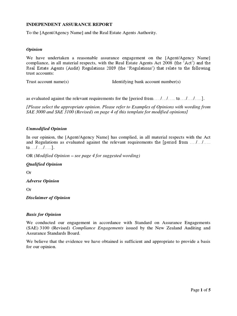 Independent Auditors Report Template | PDF | Regulatory Compliance ...