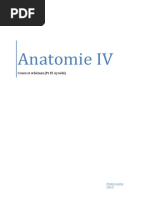 12-Appareil Branchial | PDF | Tête et cou chez l'humain | Anatomie humaine