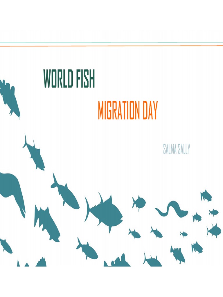 Fish Migration Day | PDF | Habitat | Systems Ecology