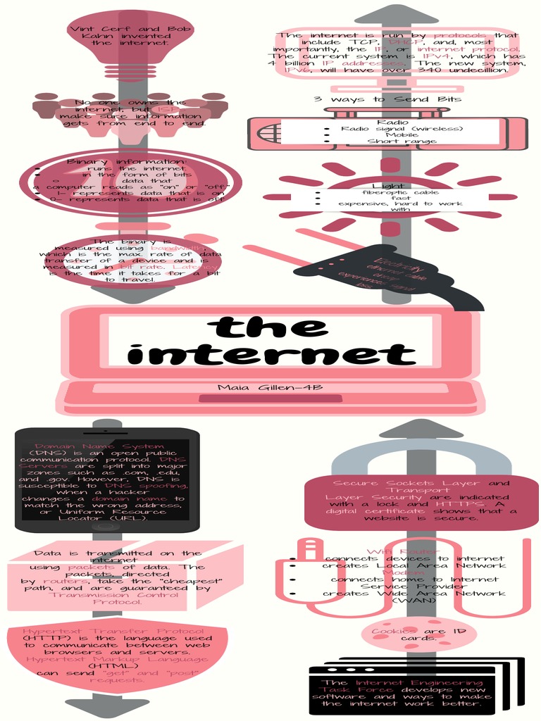 Internet Infographic | PDF | Domain Name System | Internet
