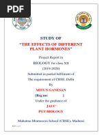 BIOLOGY Class 12 Project | PDF | Human Genome | Dna