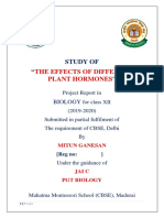 BIOLOGY Class 12 Project | PDF | Human Genome | Dna