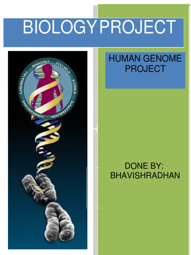 BIOLOGY Class 12 Project | PDF | Human Genome | Dna
